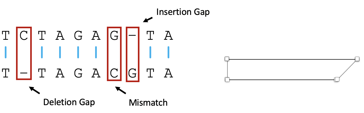 Genome alignement and tools :: Hello World