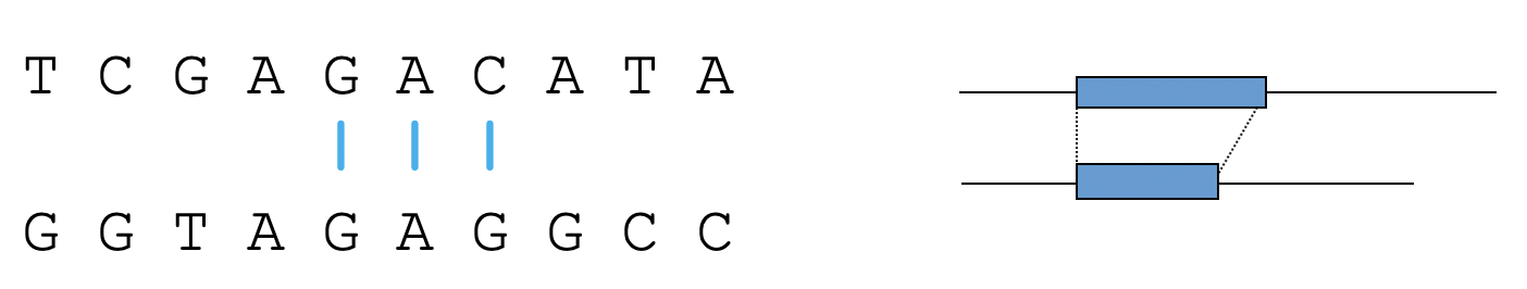 Genome alignement and tools :: Hello World